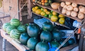 About – African Orphan Crops Consortium